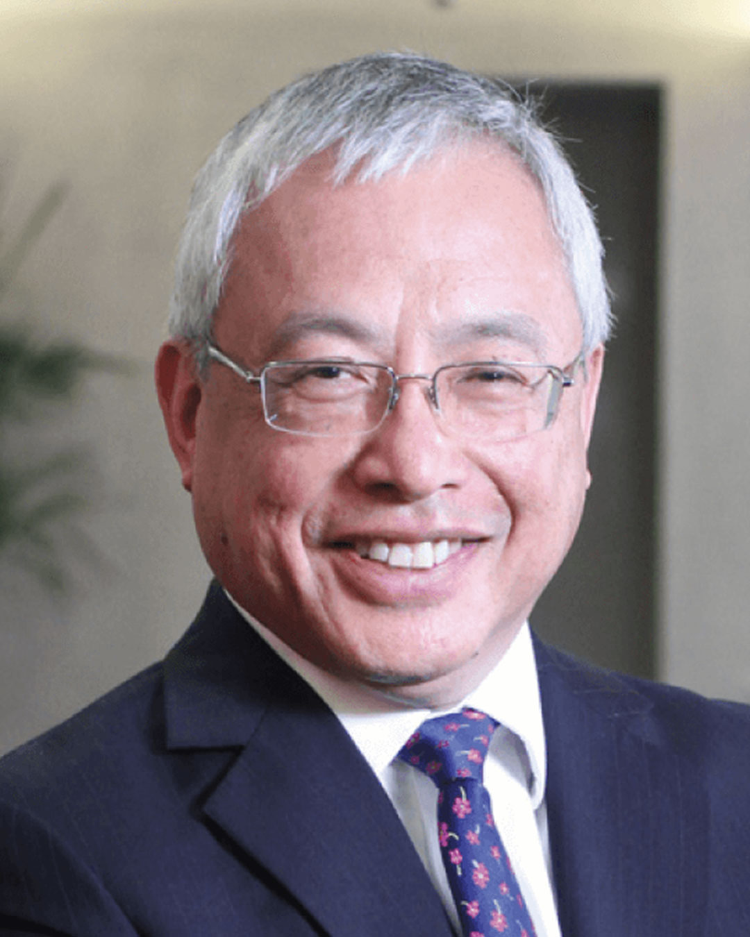 Esteban Chong León - Videnza Consultores